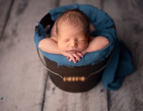 Charlotte Maternity, Newborn, and Family Photographer